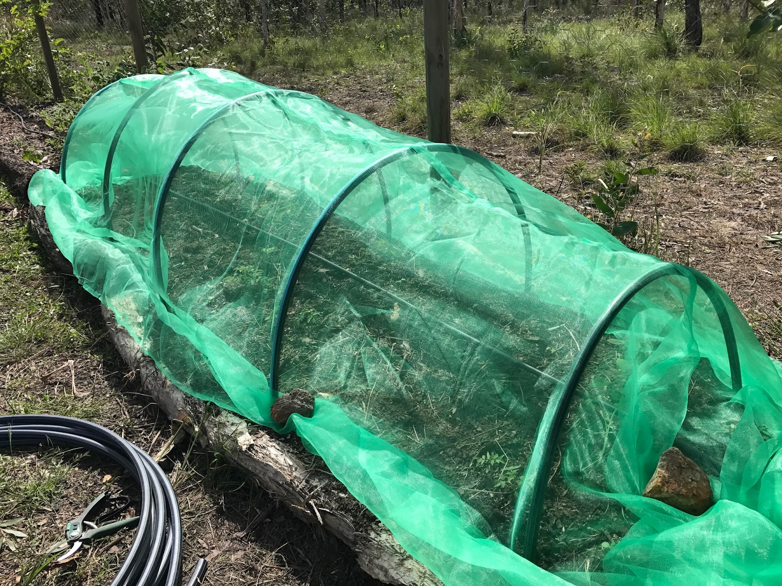 Easy Way To Protect Plants From Sun And Bugs - Permaculture Haven Australia
