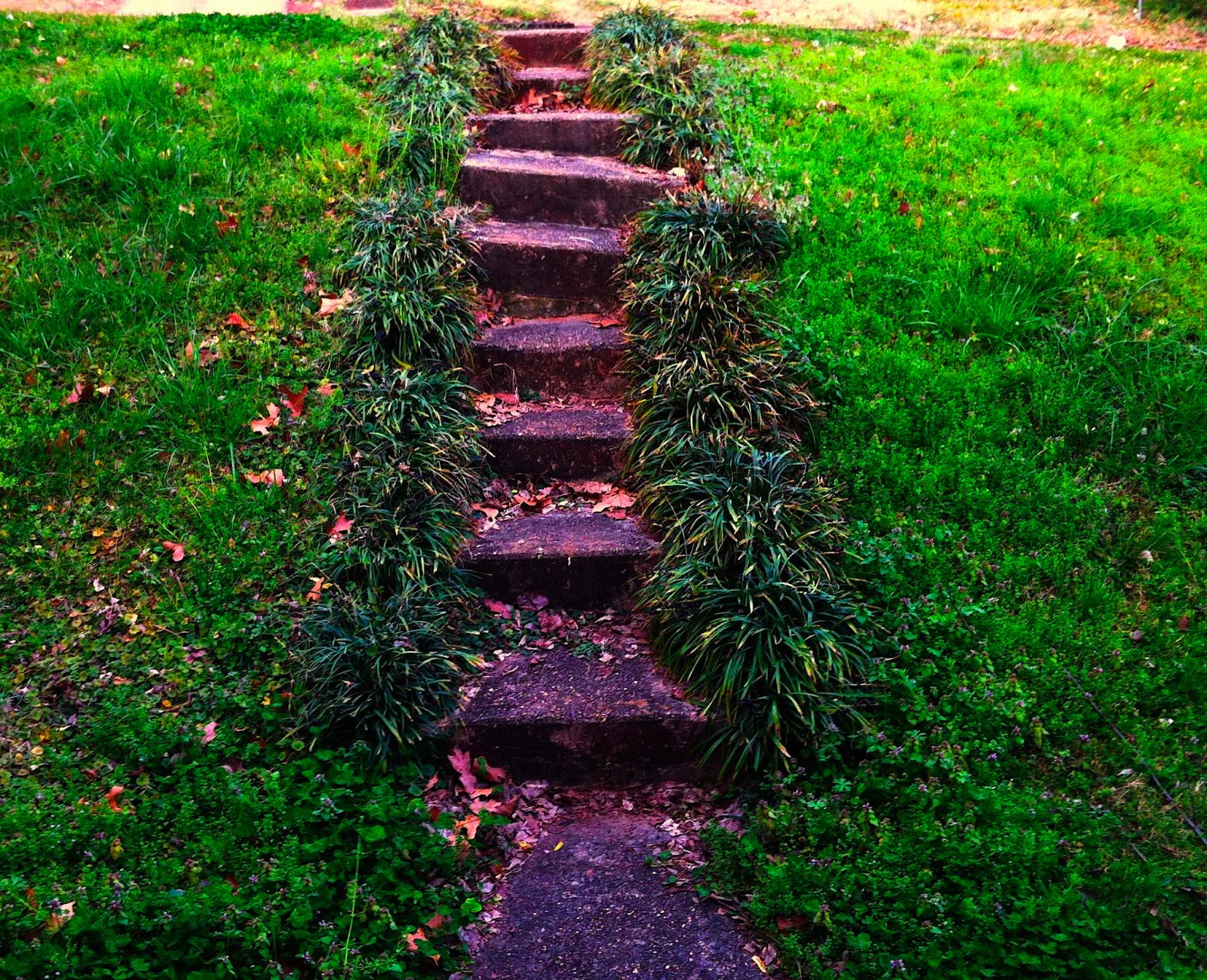 Brian Teasley presents Wonderfully Rotting Vegetables
