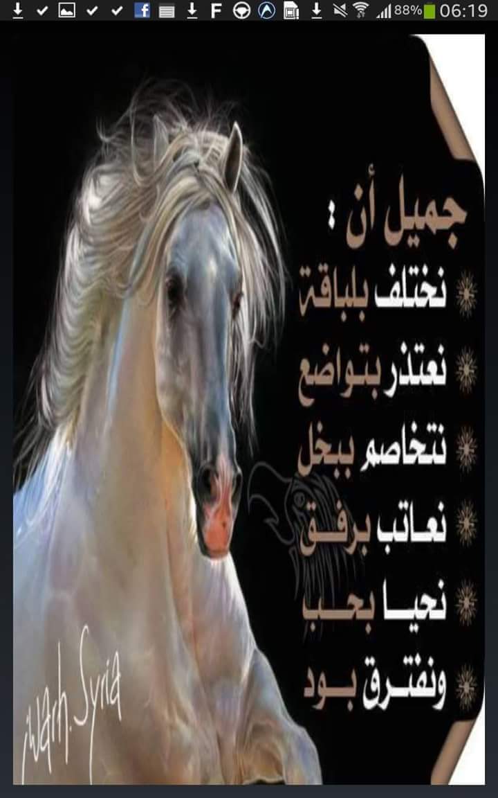 L'univers de B.: Kalam jamil ahlan