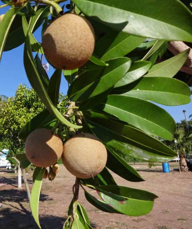 The Golden Years: Stuck on myself