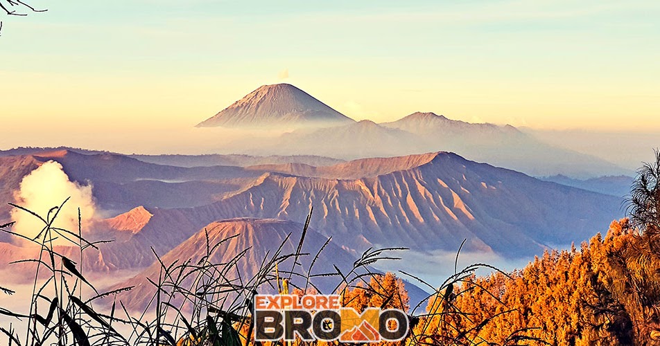 Open Trip Bromo Midnight, Paket Wisata Murah Bromo 2023 | Wisata ...