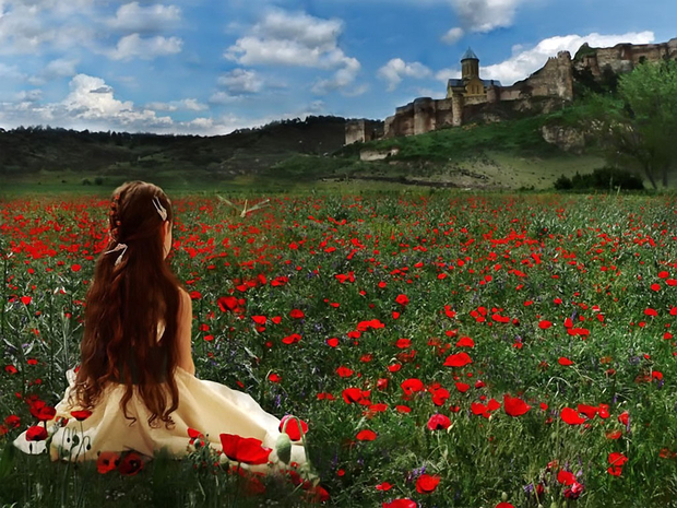 Arta Sufletului: Macul...