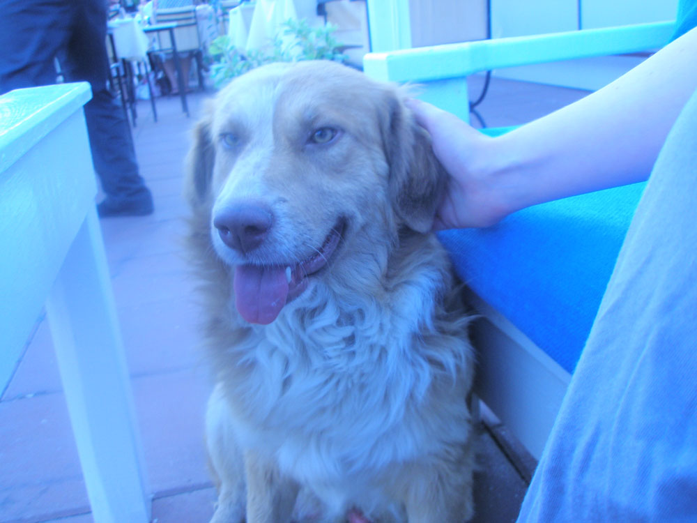 Le Mariage Du Papier