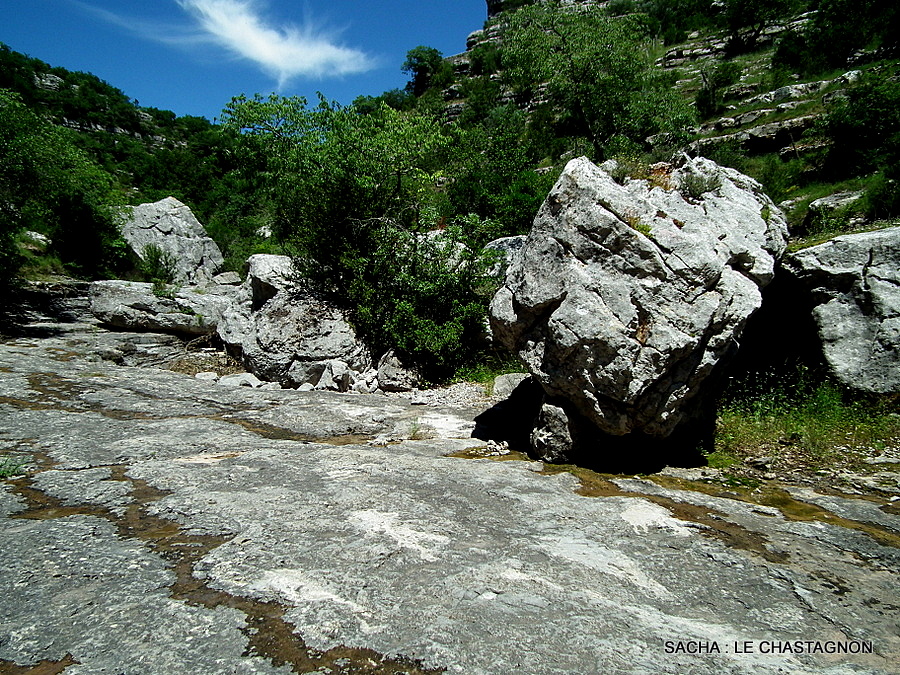 Un jour....Une photo !: Balade au coeur du ruisseau de Pierre Froide ...
