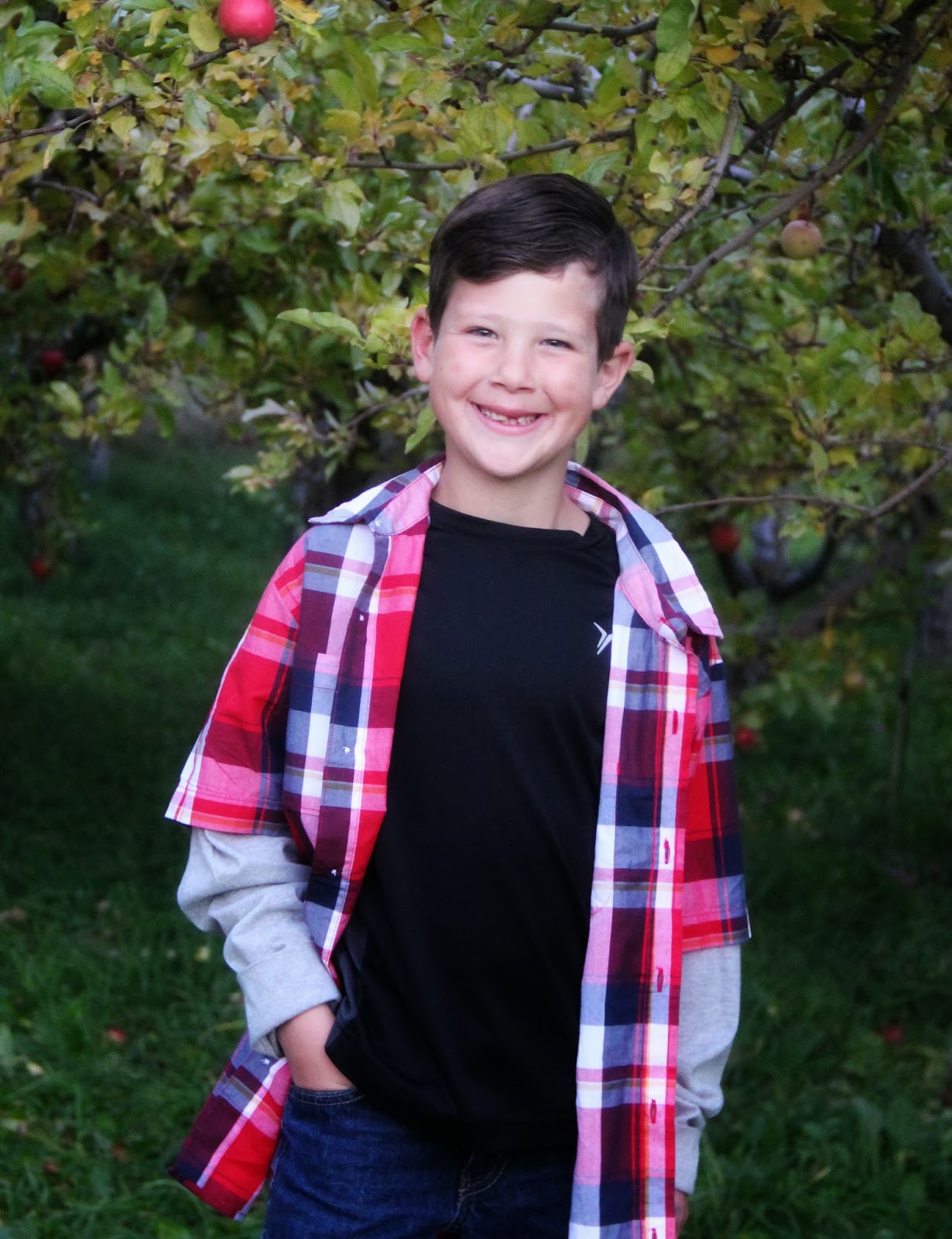 My Life as a Princess in a House full of Knights: Christmas Pictures