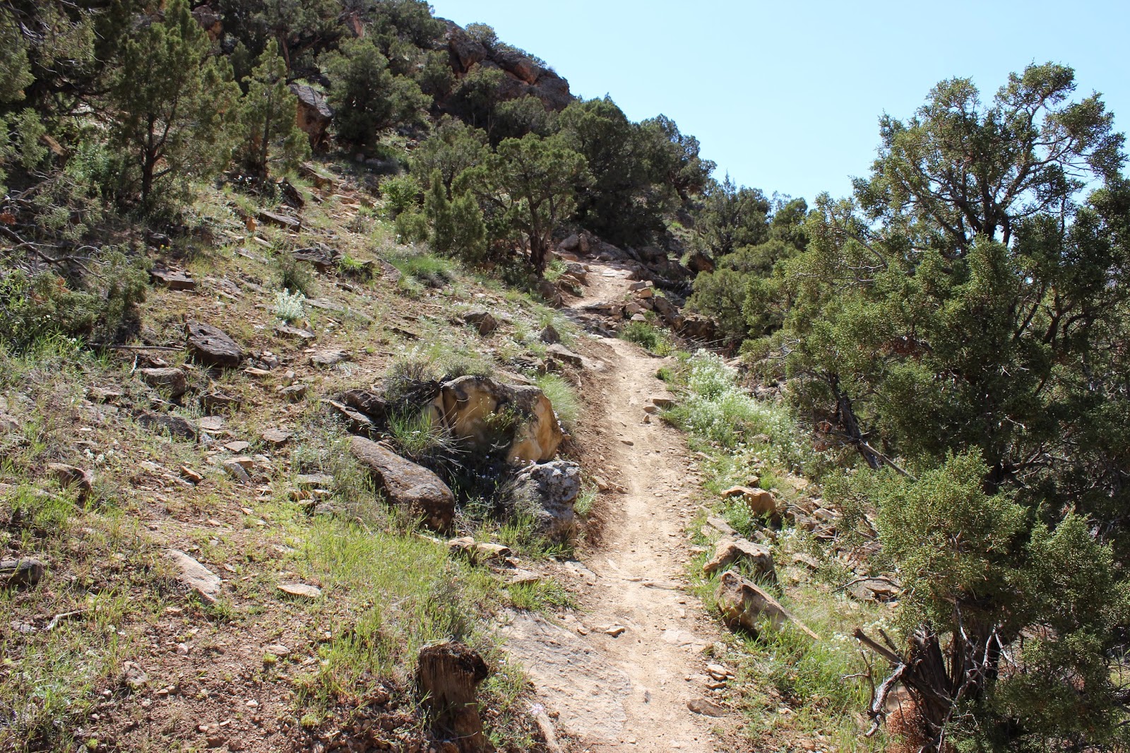 gjhikes.com: Palisade Rim Lower Loop