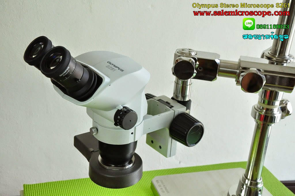 กล้องสเตอริโอไมโครสโคป Stereo Microscope Olympus SZ61 มือสองราคาถูกมาก ...