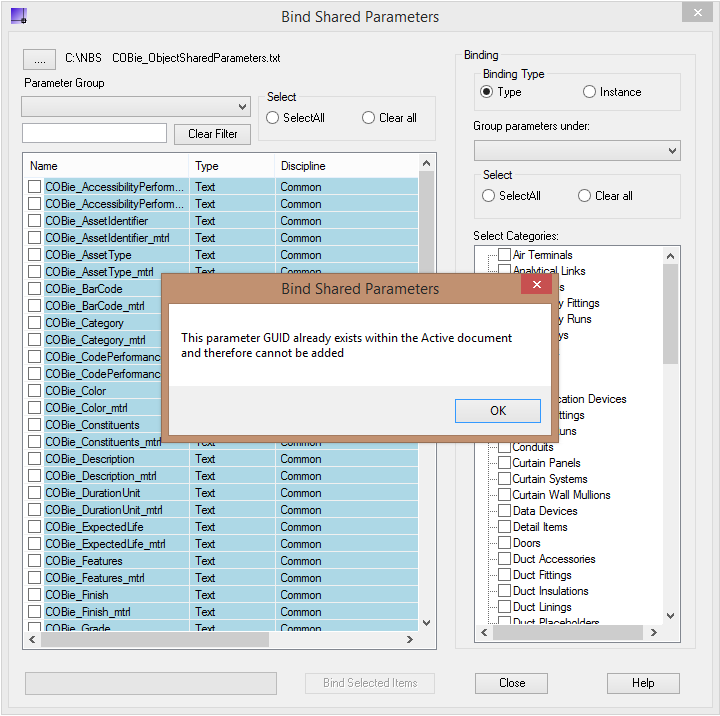Revit Add-Ons: BindSharedParam