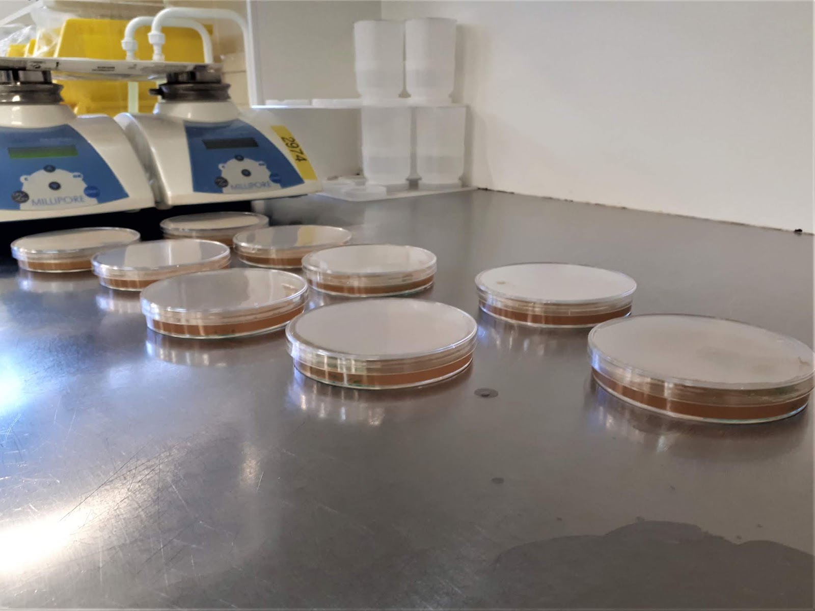 Pharmaceutical Microbiology