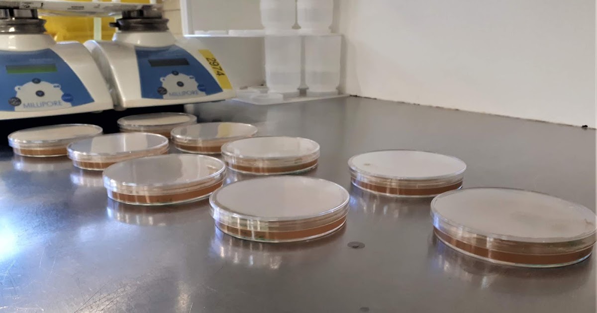 Pharmaceutical Microbiology