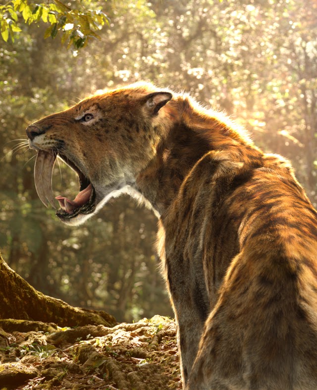 SMILODON