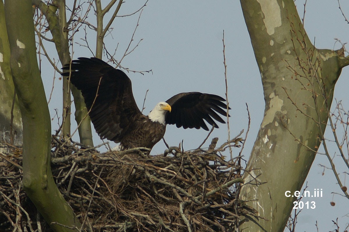 Louisiana Swamp Tours: Cool Autumn Swamp Tours