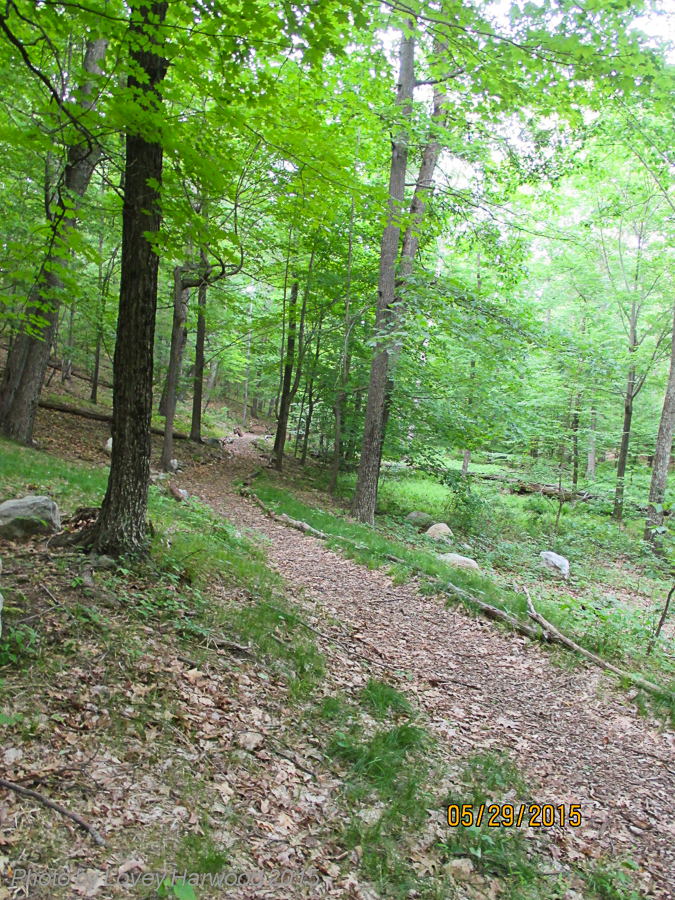 The Gunks – Multi pitch rock climb
