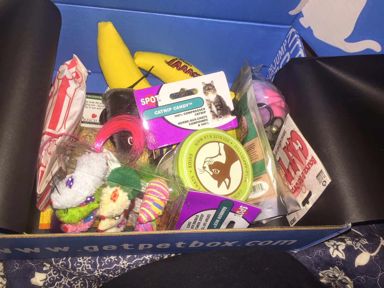 Outside the Box: Pet Box Special Collection Review