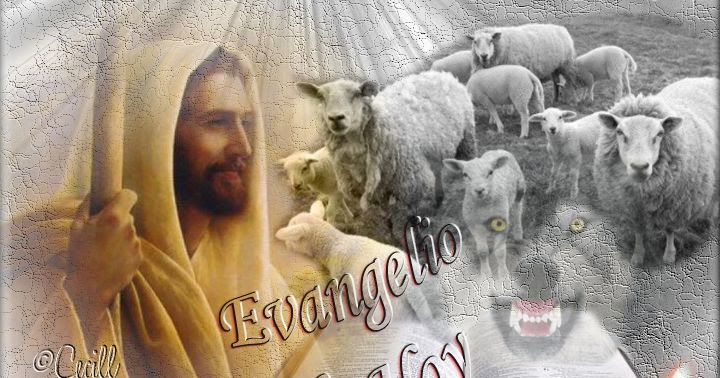 Vidas Santas: Evangelio Junio 28, 2017