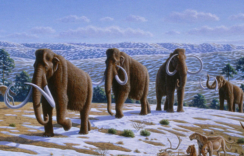 Domain of the C-Rex: Prehistoric Elephants