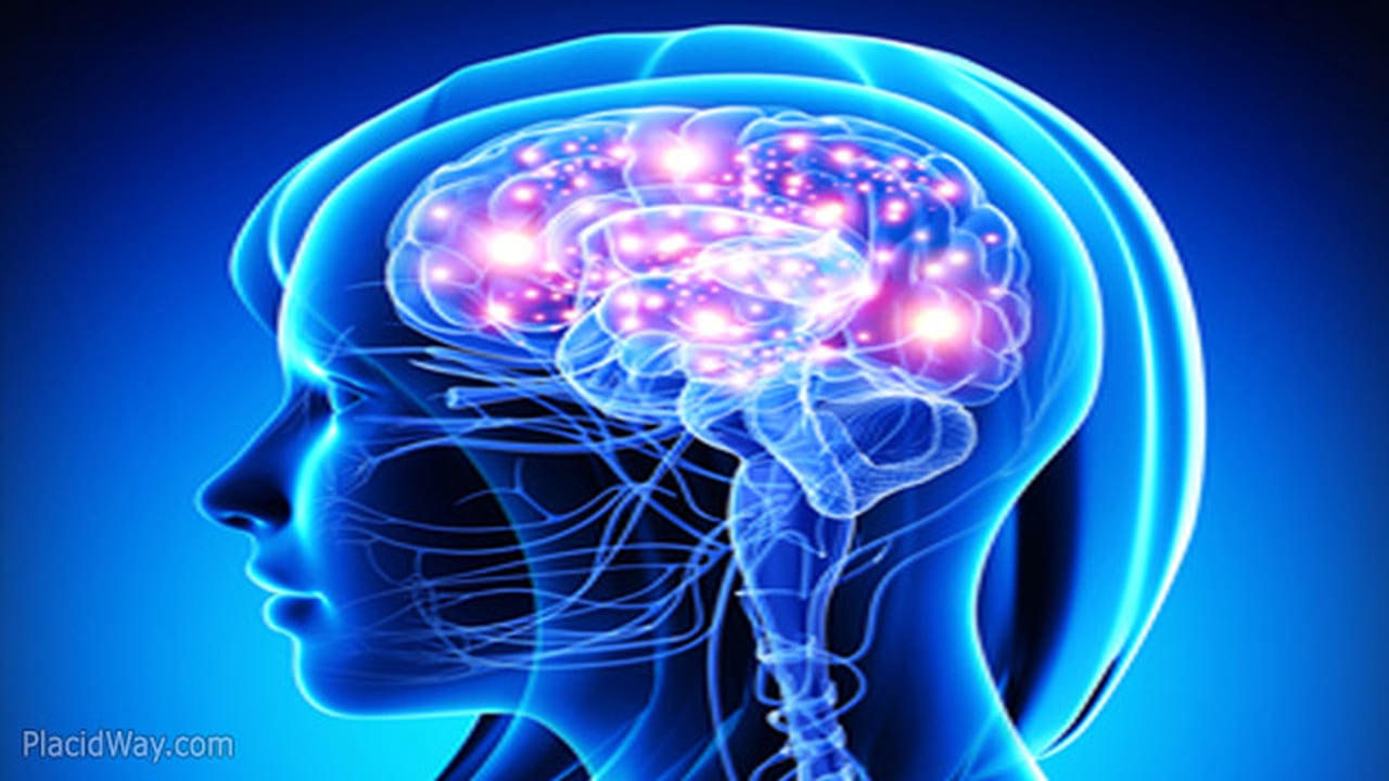 Healthcare Info 101: Understanding the Body's Natural Healing Process