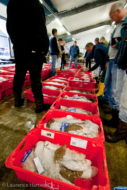 Through the Gaps! - Newlyn Fishing News: 01/05/12 - 01/06/12 Cornwall ...