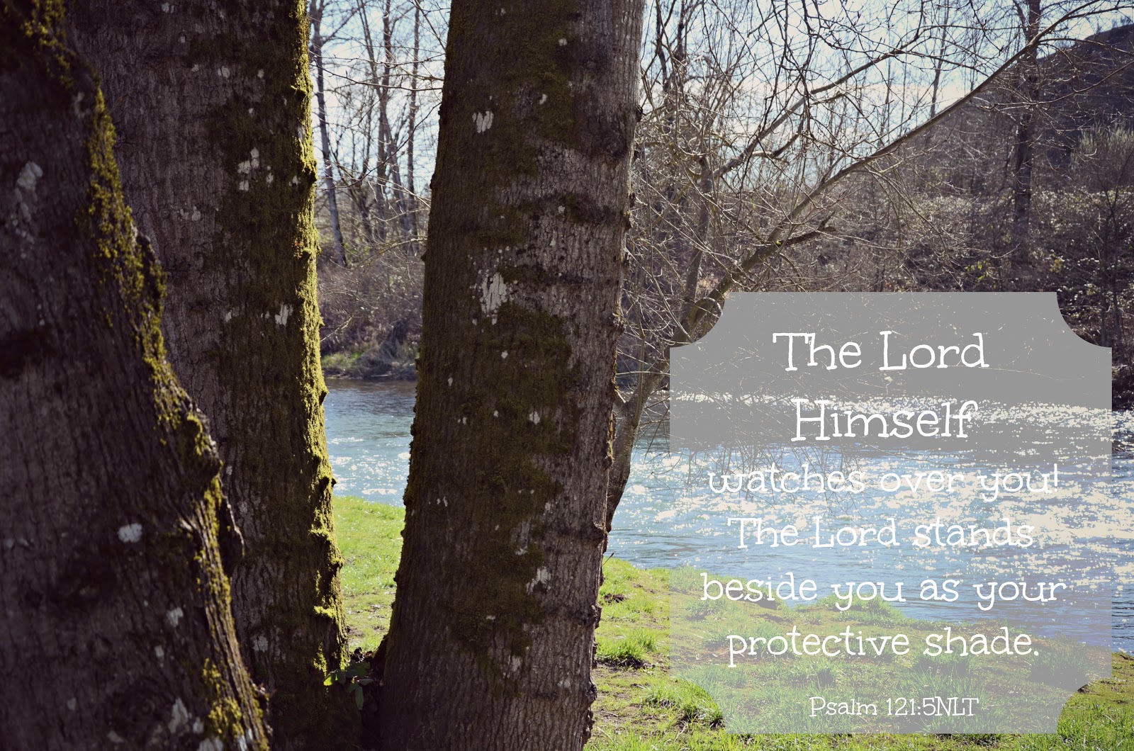 Just following Jesus in my real life...: Psalm 121:5...