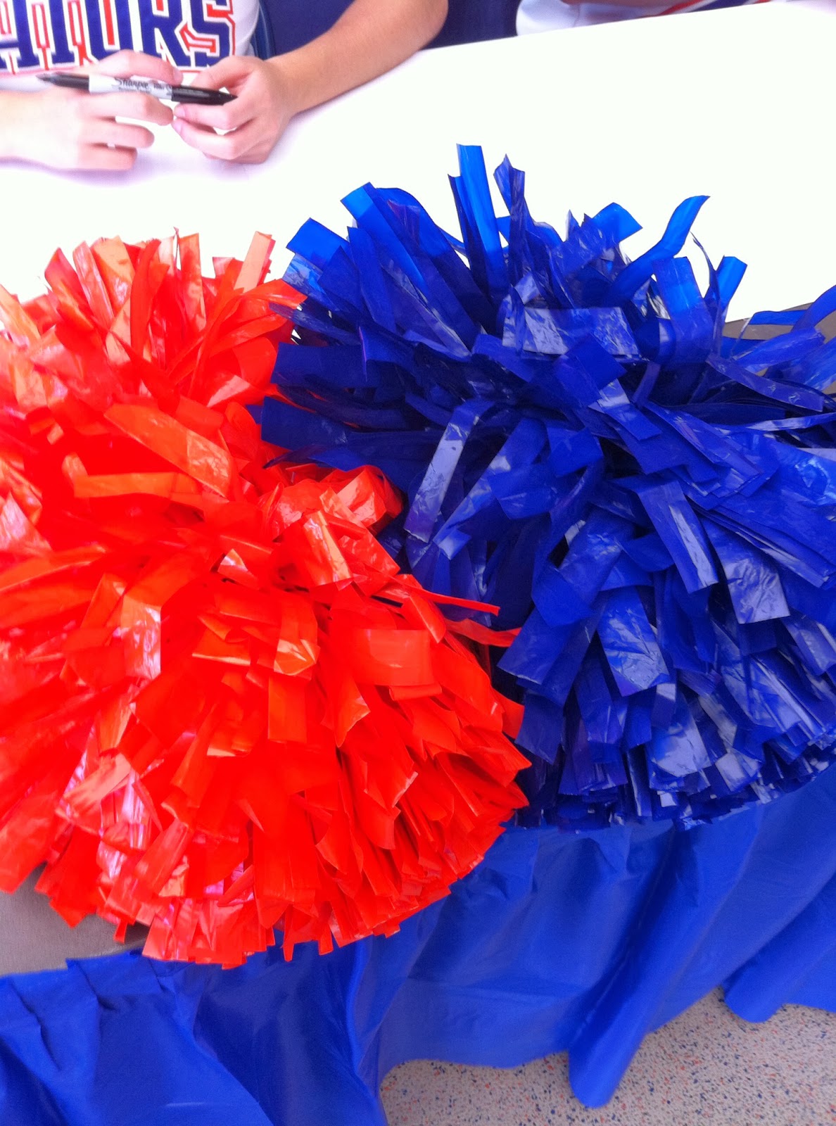 2013 Florida Gators Fan Day: Football, Cheerleaders, Pom Poms, OH MY!
