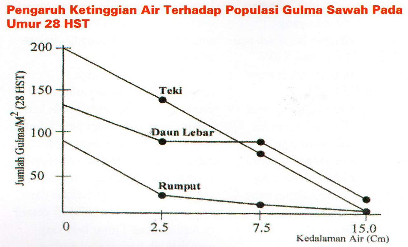 Budidaya Teknik dan Teknologi Pertanian: Gulma Padi Sawah