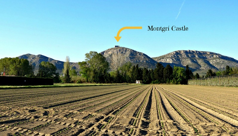 just saying ...: Torroella de Montgrí ... now that's what I call a ...