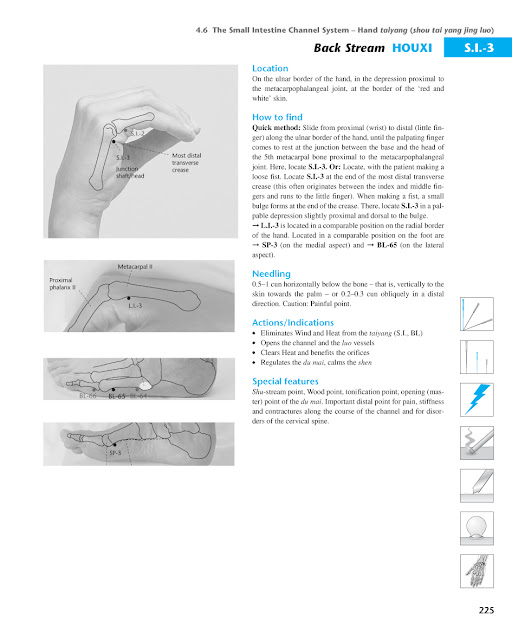 Acupuncture Masters: Acupuncture Points Database - Small Intestine Channel