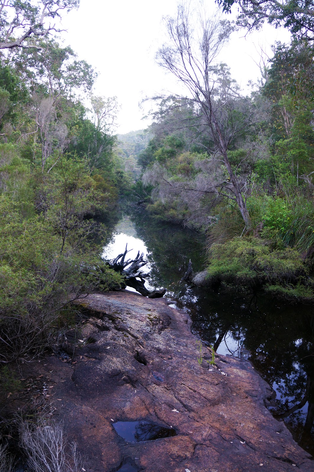 Mt Lindesay Walk Trail (Mt Lindesay National Park) ~ The Long Way's Better