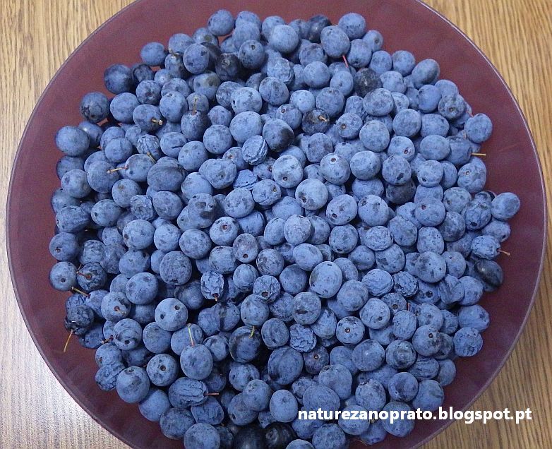 Natureza no Prato: Compota de Abrunhos-bravos