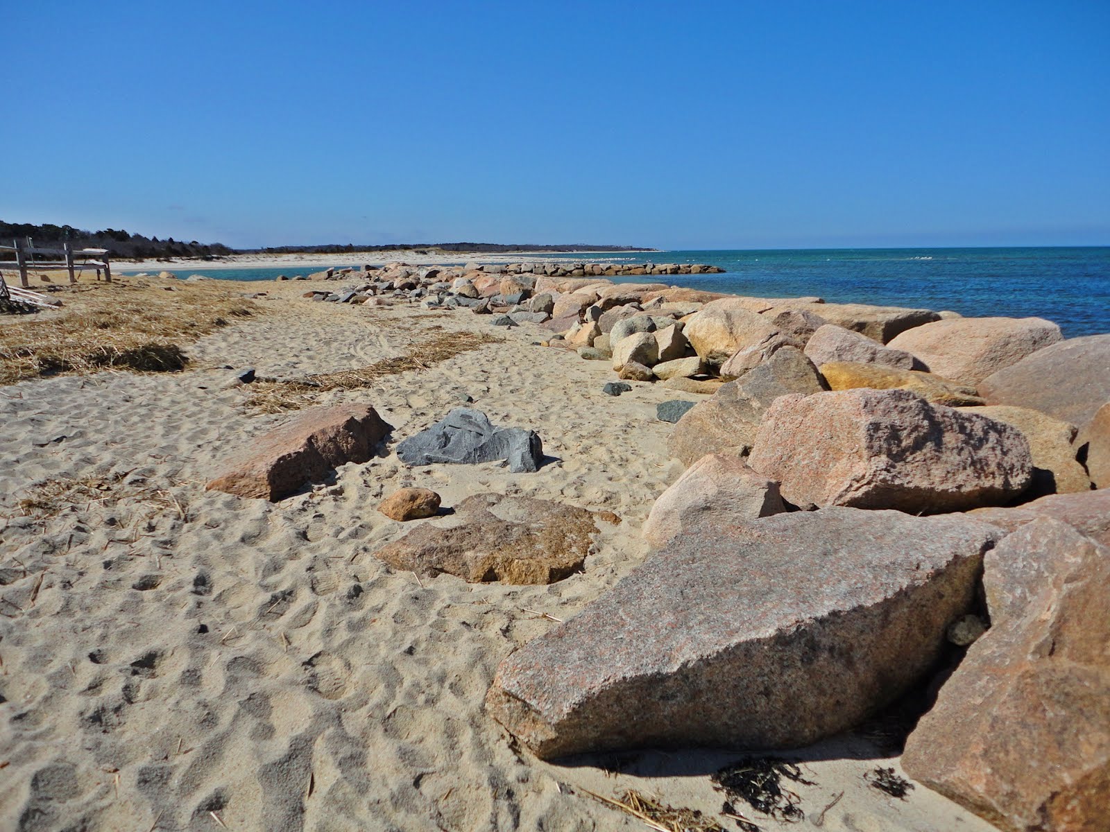 Cape Cod Washashore: Cape Cod Bay in the Spring