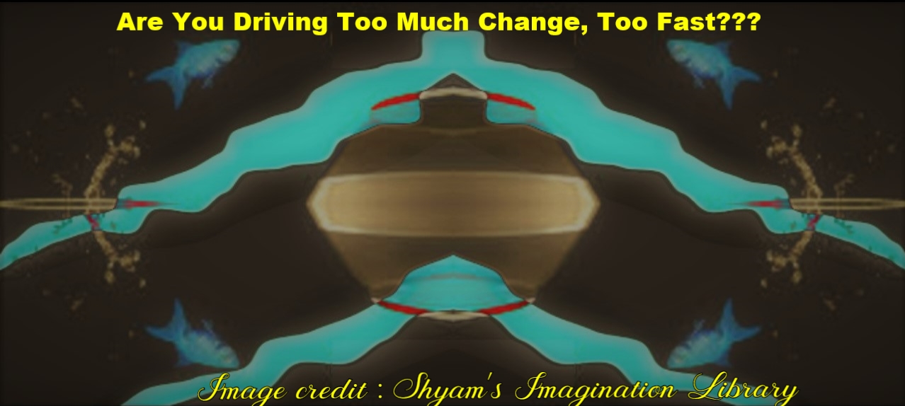 career: Are You Driving Too Much Change, Too Fast??? 11-15