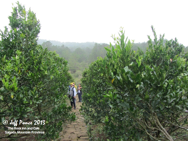 Bisayang Manlalakbay around the Philippines: How to Get to Sagada ...