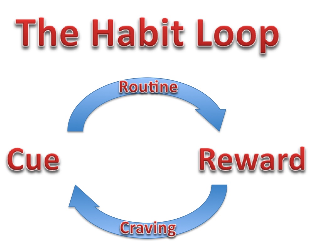 The life of Rain: Habits