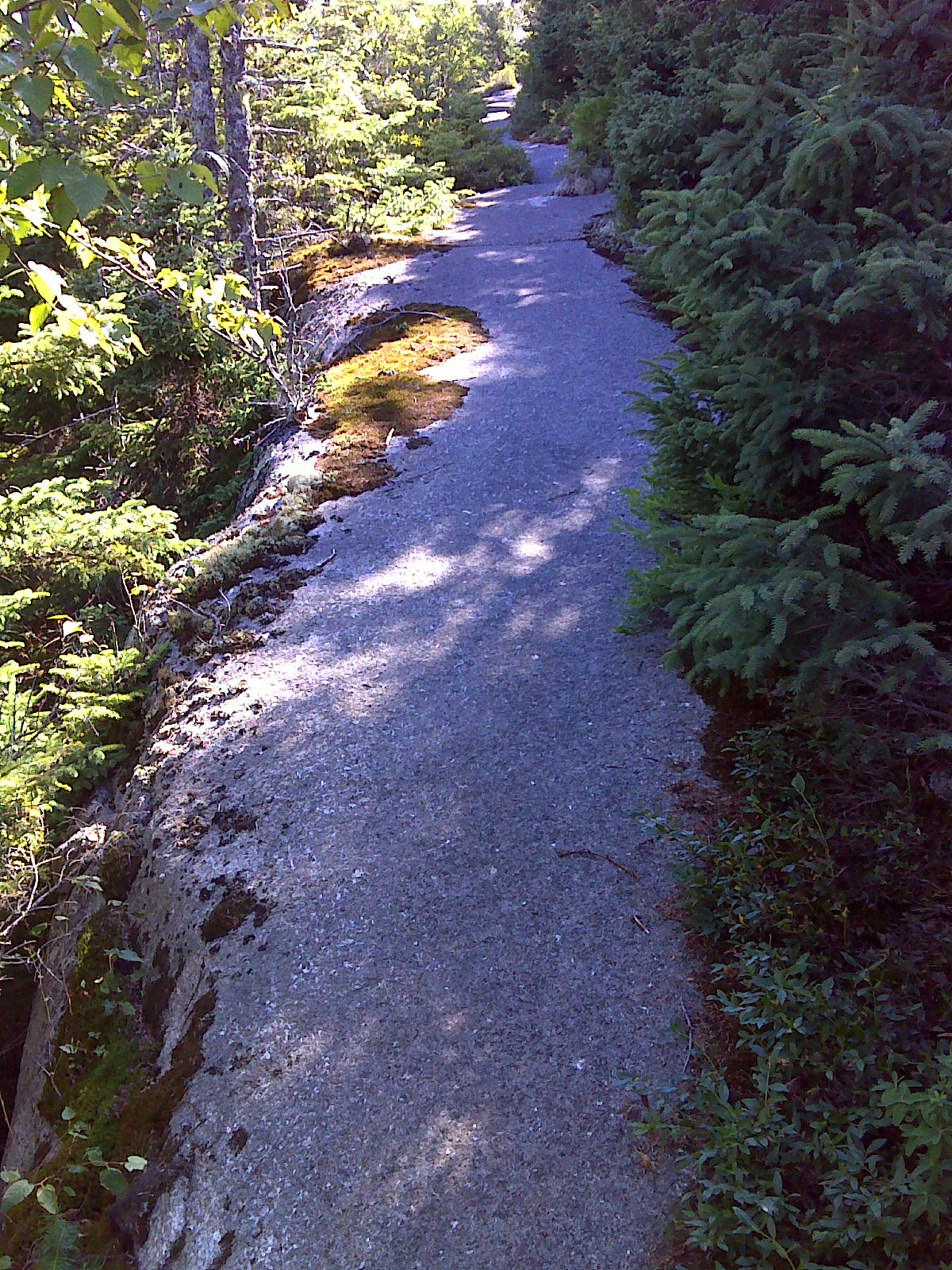 Heart and Sole: The Lobster Claw