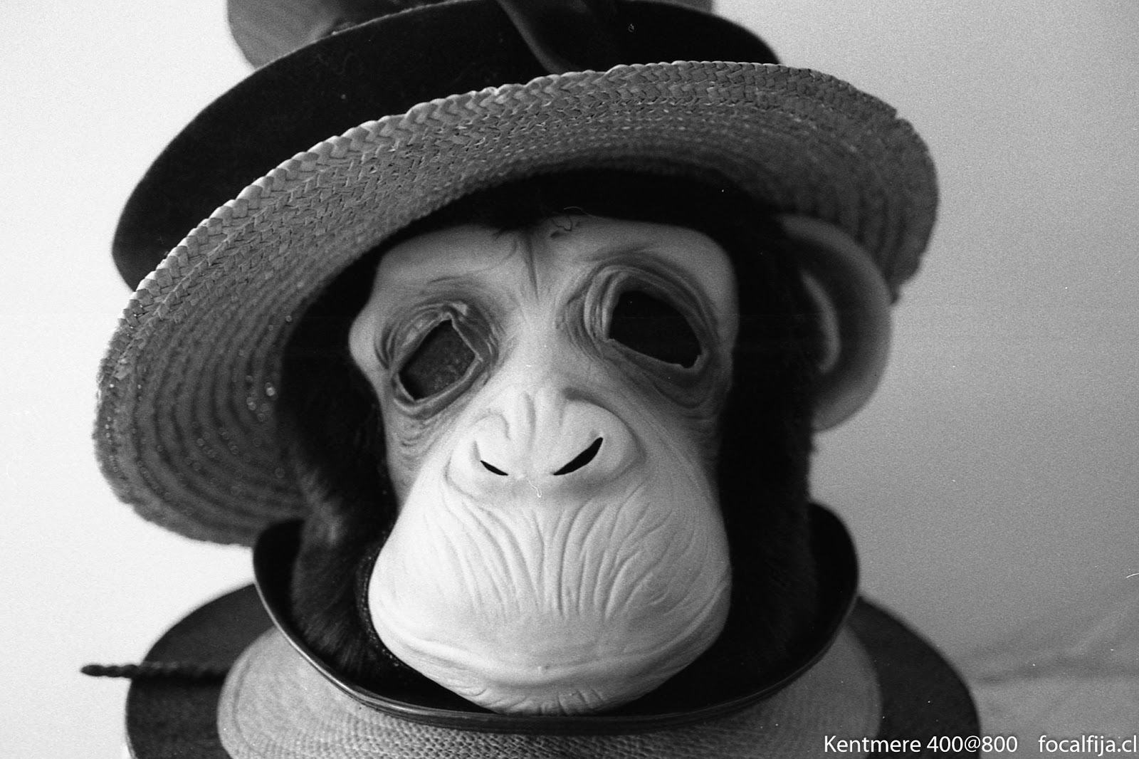 Kentmere 400 Push @800 @1600 @3200 Revelado con Rodinal