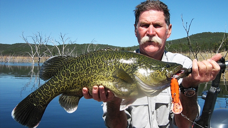 Deep River Lures: Murray Cod fishing at Glenlyon Dam