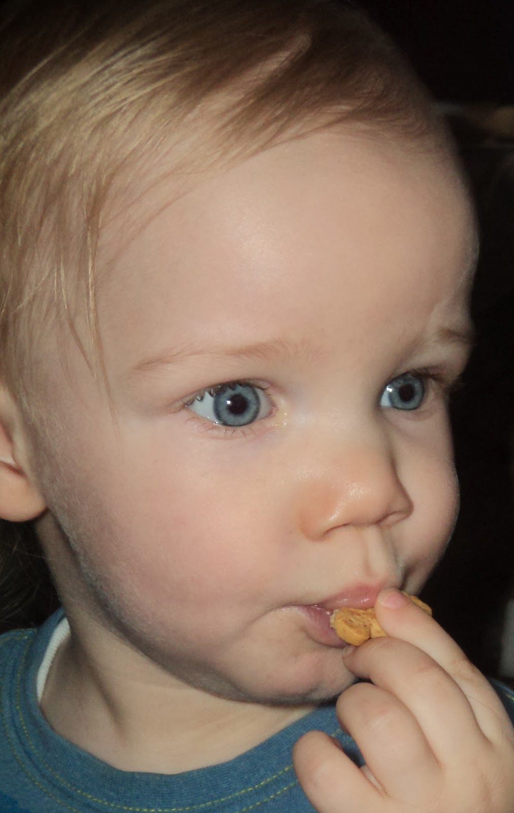 Where Roots And Wings Entwine: Organix Selection Box Review