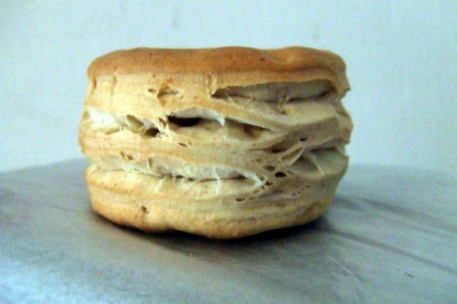 galleta de campaña | WordReference Forums