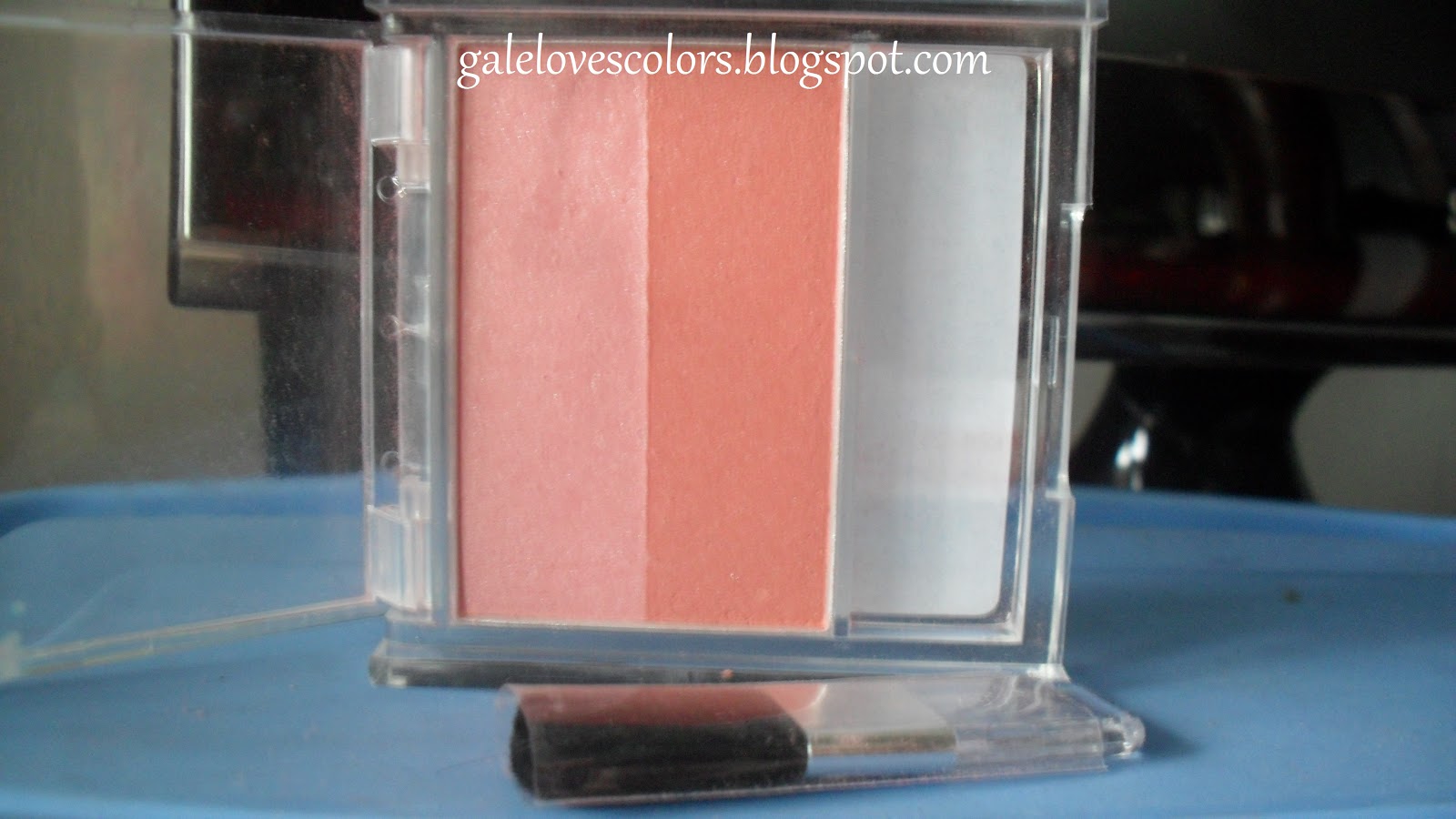 Gale Loves Colors: Review: Allue Pretty Cheeks Blush in Pink Delish