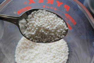 Tao Belly: Lemon Sago Pudding