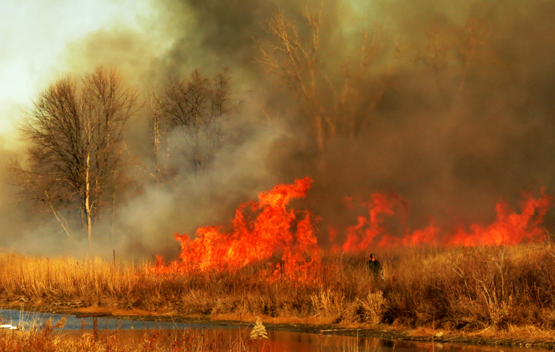 Fermilab Natural Areas: Main Ring Prairie Burn
