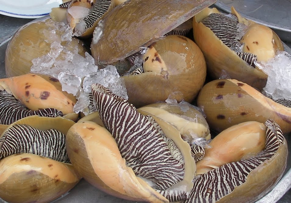 Things to do (closed): Klong Mu Dong