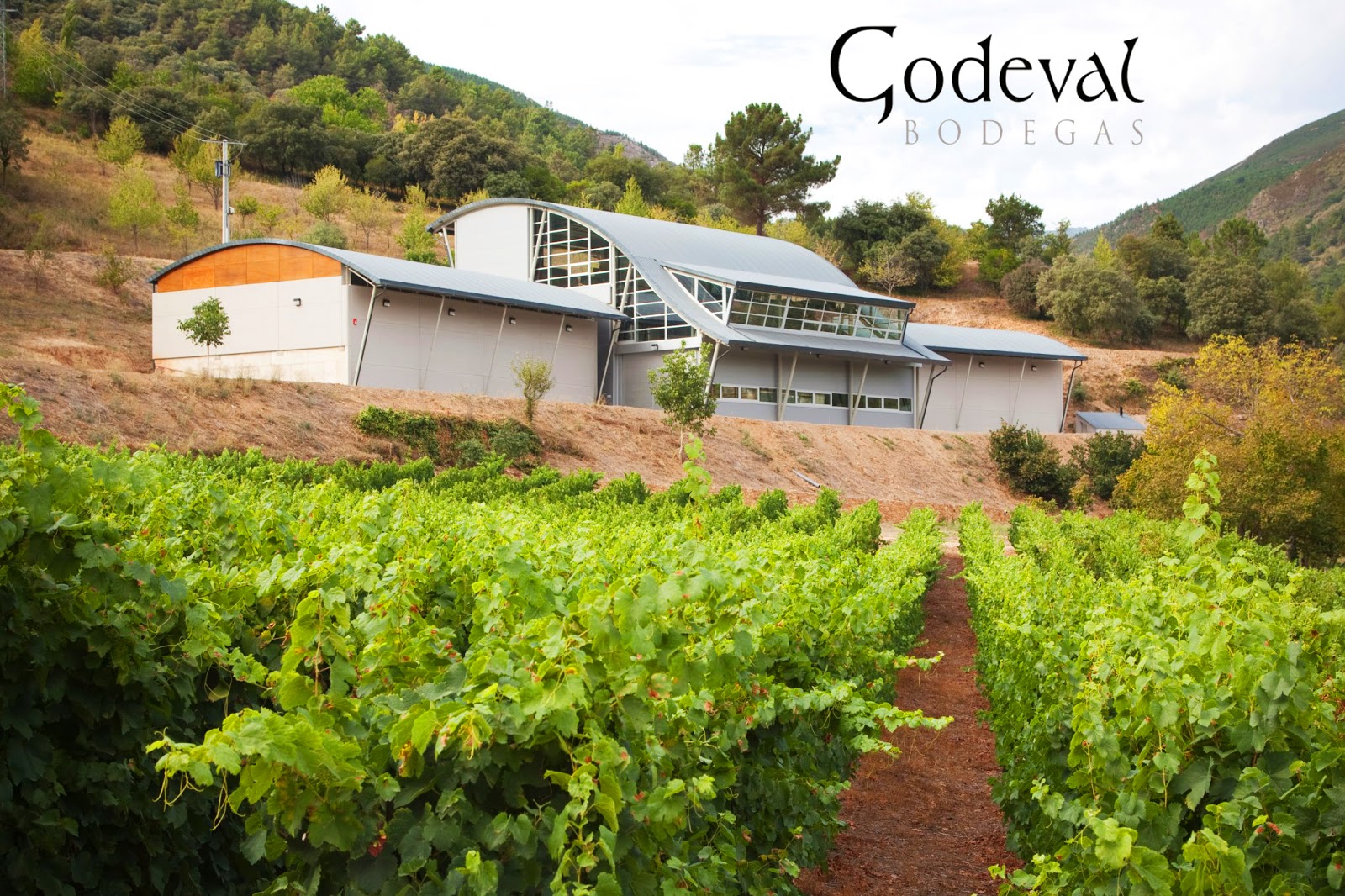 Un universo en cada botella: Bodegas Godeval investiga nuevas formas de ...