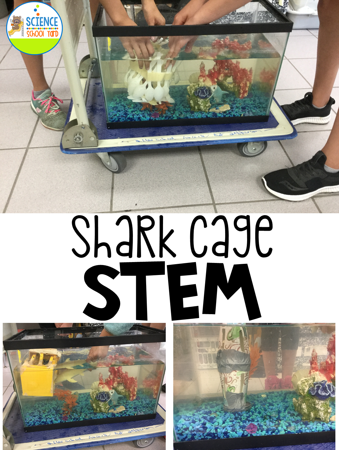 Shark STEM Connections - The Science School Yard