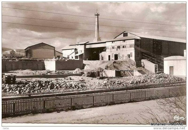 CULTURE et PATRIMOINE DE TUNISIE EN IMAGES- MOHAMED HAMDANE-ثقافة وتراث ...