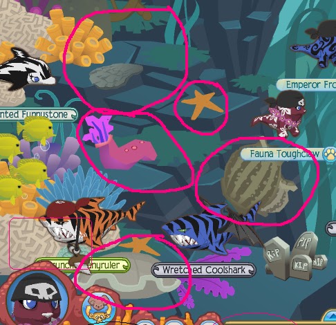Animal Jam Adventures: Bahari Bay Journey Book