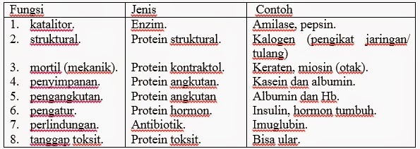 Protein dan Asam Amino | Chemistry