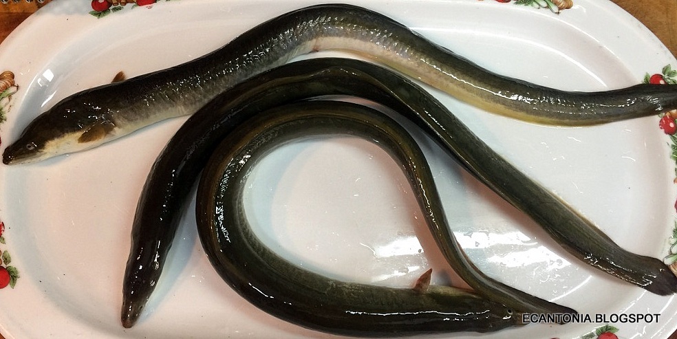 ENCANTONIA: ANGUILLAS CON PAPAS EN AMARILLO COMO LO GUISABA MI MADRE