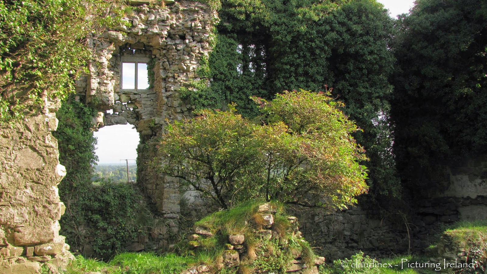 Picturing Ireland : Magical Places: The Fairy Hill, Carbury, Co. Kildare