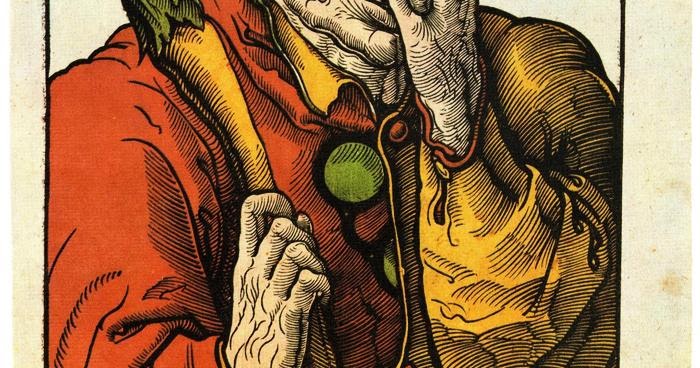 French Vocabulary Illustrated: marotte